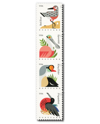 4991-94 - 2015 35c Coastal Birds - Mystic Stamp Company