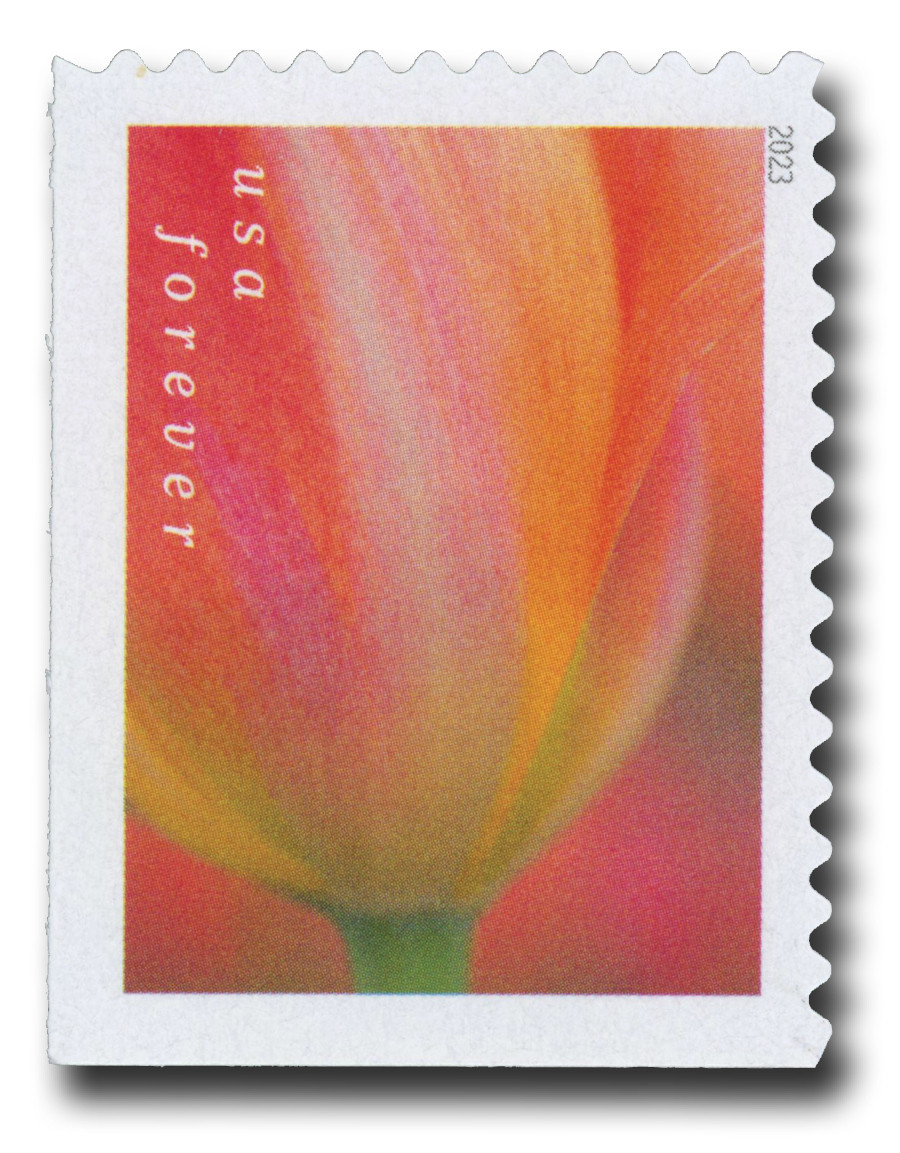 5783 - 2023 First-Class Forever Stamp - Tulip Blossoms: Pink and Orange ...