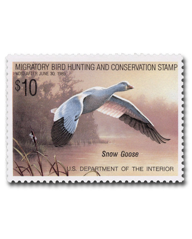 RW55 - 1988 $10.00 Federal Duck Stamp - Snow Goose - Mystic Stamp Company