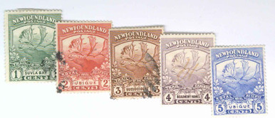 115-19 - 1919 Newfoundland - Mystic Stamp Company