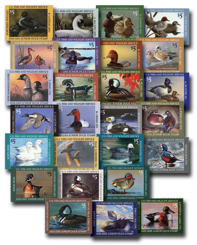 JDS8-33 - 2000-25 Junior Duck Stamp Collection of the 21st Century, 26 ...