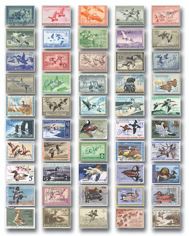 RW1//53 - US Duck Stamp Collection, 50 stamps, used with small flaws ...