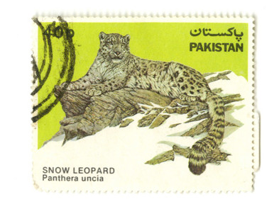 603 - 1984 Pakistan - Mystic Stamp Company