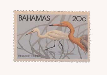 493 - 1981 Bahamas - Mystic Stamp Company