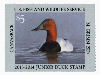 JDS21 - 2013 $5 Junior Duck Stamp - Canvasback - Mystic Stamp Company