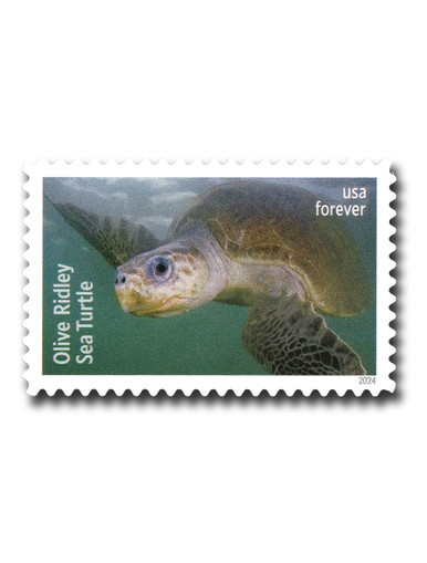 5870 - 2024 First-Class Forever Stamp - Protect Sea Turtles: Olive ...