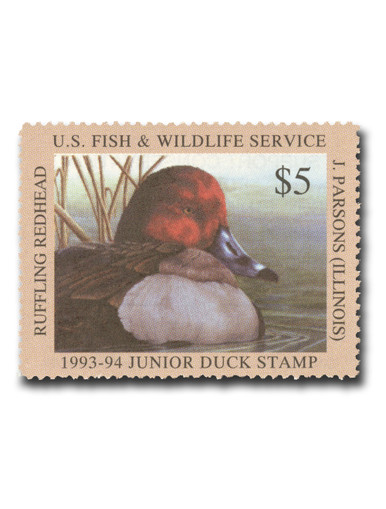JDS1 - 1993 $5 Junior Duck Stamp - Redhead - Mystic Stamp Company