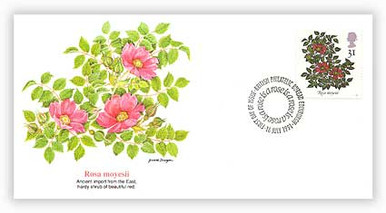 9A1384 - 1991 GBR 31p Rosa Moyesii FDC - Mystic Stamp Company