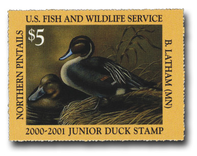 JDS8 - 2000 $5 Junior Duck Stamp - Northern Pintails - Mystic Stamp Company