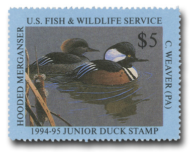 JDS2 - 1994 $5 Junior Duck Stamp - Hooded Merganser - Mystic Stamp Company
