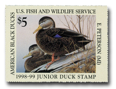JDS6 - 1998 $5 Junior Duck Stamp - American Black Ducks - Mystic Stamp ...