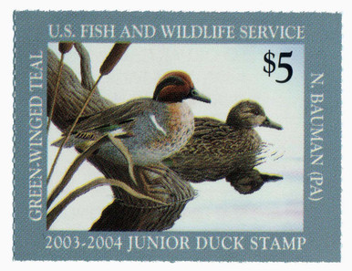 JDS11 - 2003 $5 Junior Duck Stamp - Green-Winged Teal - Mystic Stamp ...