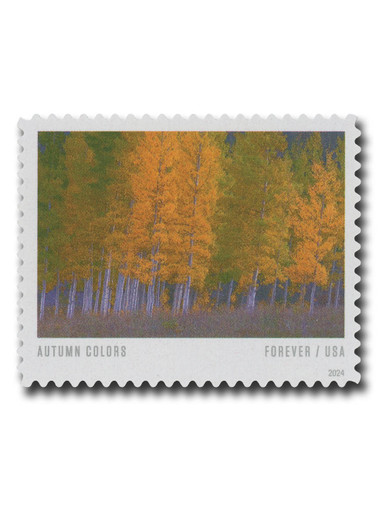 5934 - 2024 First-Class Forever Stamp - Autumn Colors: Grove of Trees ...