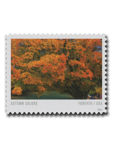 5933 - 2024 First-Class Forever Stamp - Autumn Colors: Tree with Orange ...