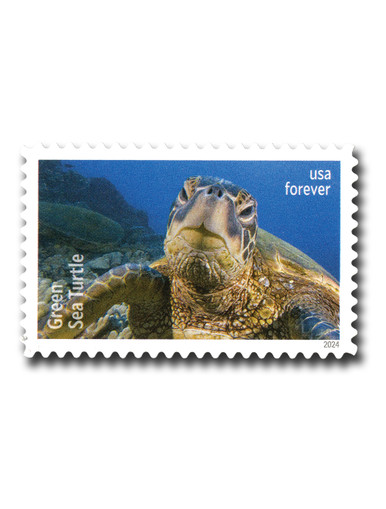 5866 - 2024 First-Class Forever Stamp - Protect Sea Turtles: Green Sea ...