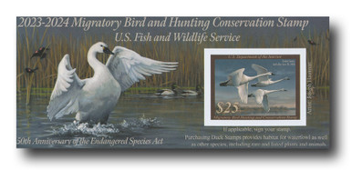 RW90A - 2023 $25.00 Federal Duck Stamp - Tundra Swans - Mystic Stamp ...