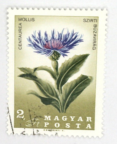 1815 - 1967 Hungary - Mystic Stamp Company