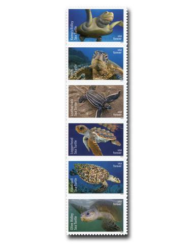 5865-70 - 2024 First-Class Forever Stamps - Protect Sea Turtles ...