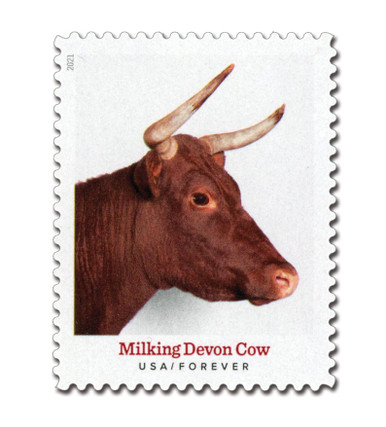 5585 - 2021 First-Class Forever Stamp - Heritage Breeds: Milking Devon ...