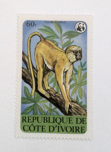 529 - 1979 Ivory Coast - Mystic Stamp Company