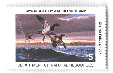 SDIA25 - 1996 Iowa State Duck Stamp - Mystic Stamp Company