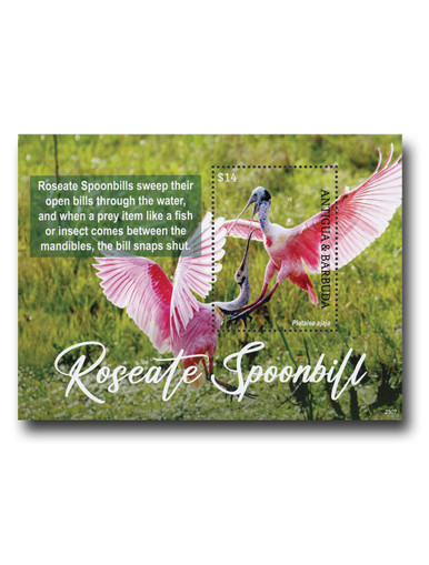 MFN642 - 2023 $14 Roseate Spoonbill Mint Souvenir Sheet, Antigua - Mystic Stamp Company