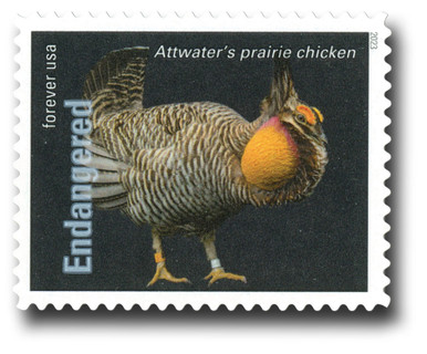 5799p - 2023 First-Class Forever Stamp - Endangered Species: Attwater's ...