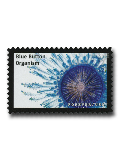 5802p - 2023 First-Class Forever Stamp - Life Magnified: Blue Button ...