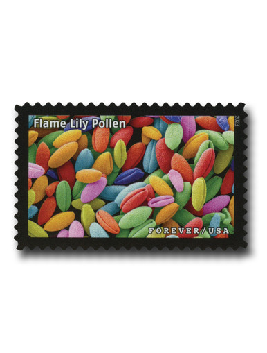 5802s - 2023 First-Class Forever Stamp - Life Magnified: Flame Lily ...