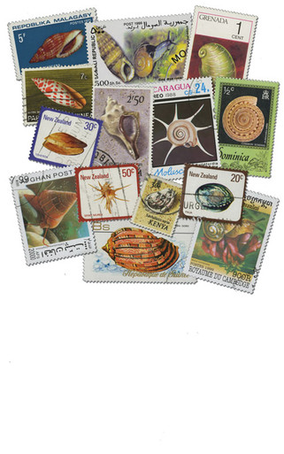 MP1123 - Shell Fish, 50 Different Stamps - Mystic Stamp Company