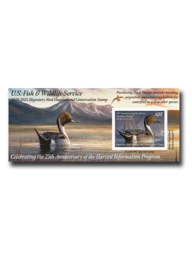 RW91A - 2024 $25.00 Federal Duck Stamp - Northern Pintail - Mystic ...