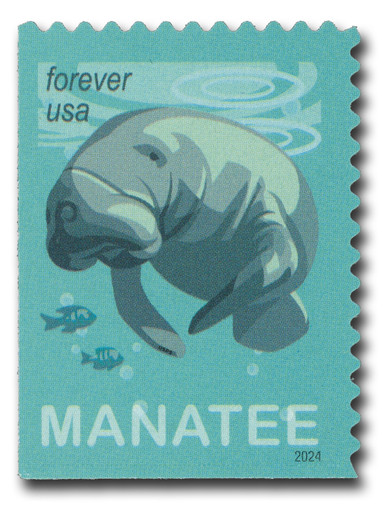 5851 - 2024 First-Class Forever Stamp - Save Manatees - Mystic Stamp ...