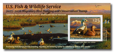 RW92A - 2025 $25.00 Federal Duck Stamp - Spectacled Eiders - Mystic ...