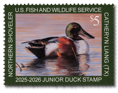 JDS33 - 2025 $5 Junior Duck Stamp - Northern Shoveler - Mystic Stamp ...