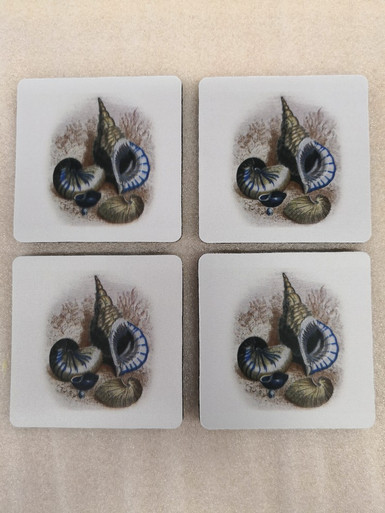 Three Shells Coaster CT003-50 - Curious Cargo Home Decor