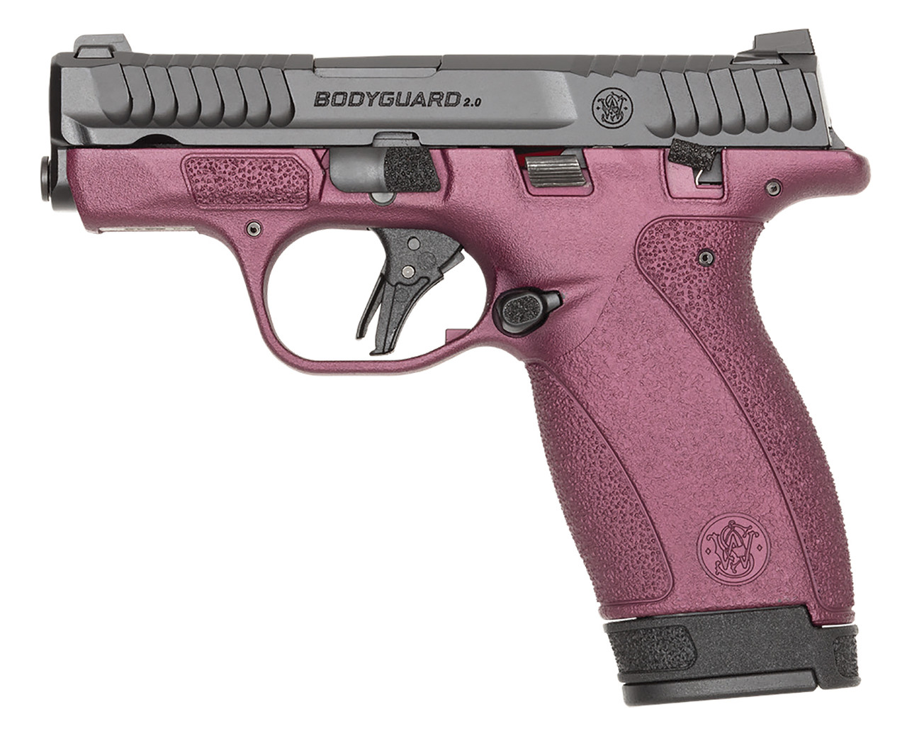 Smith & Wesson Bodyguard 2.0 Sports South Exclusive Micro Frame 380 ACP ...