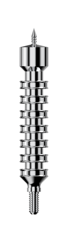 Real Avid Bore-Max Speed Jag 45 Caliber Pistol Firearm Nickel-Plated ...