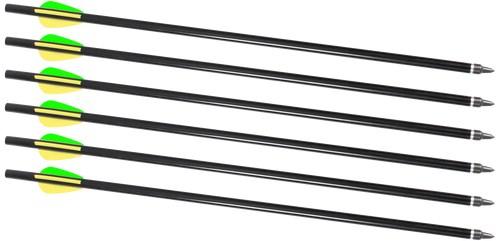 Traditions Firebolt 2216 Arrow For Crackshot XBR 16" Aluminum 6 Pack ...