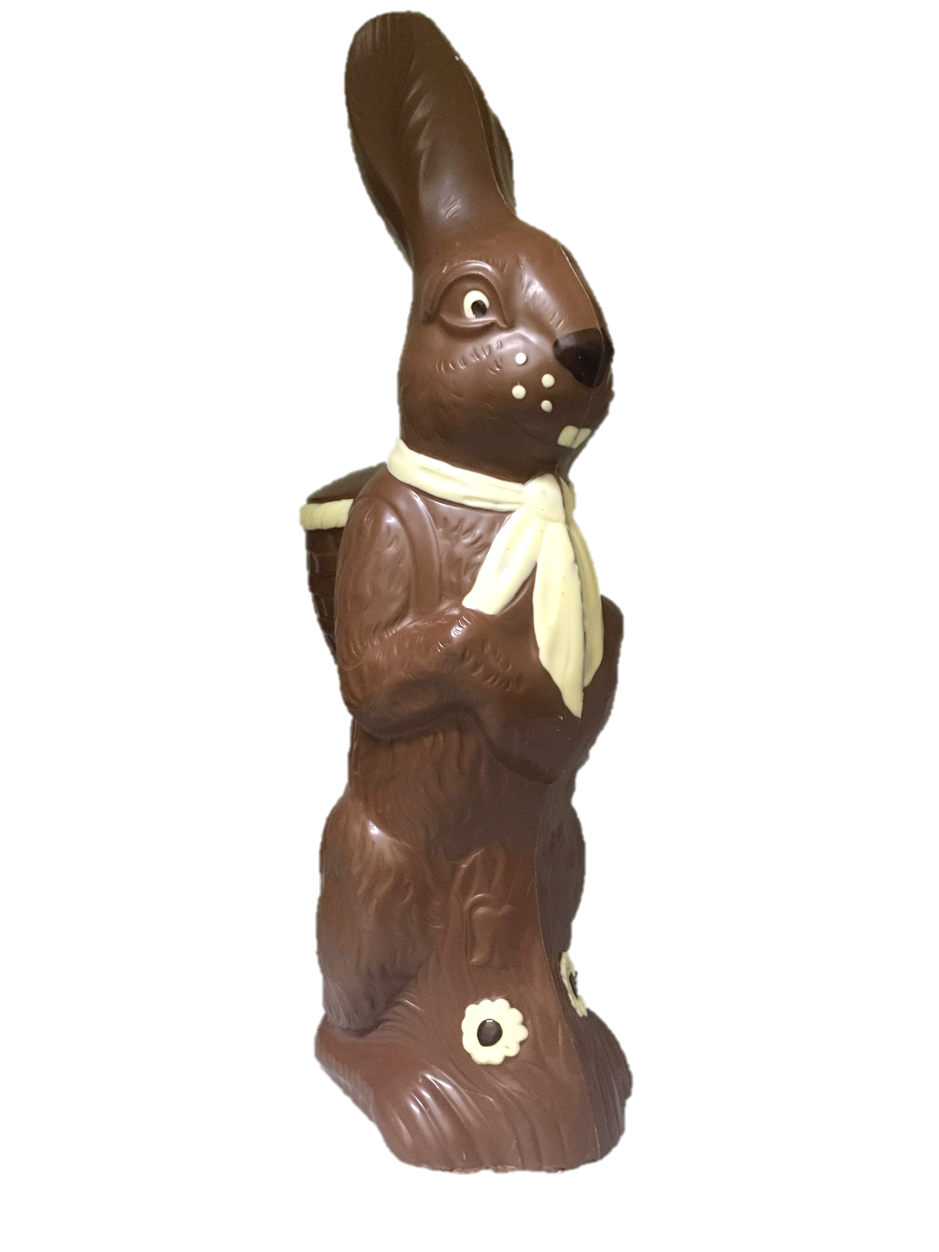 Handsome Harry Hare - Milk Chocolate | Mayfield Chocolates Australia