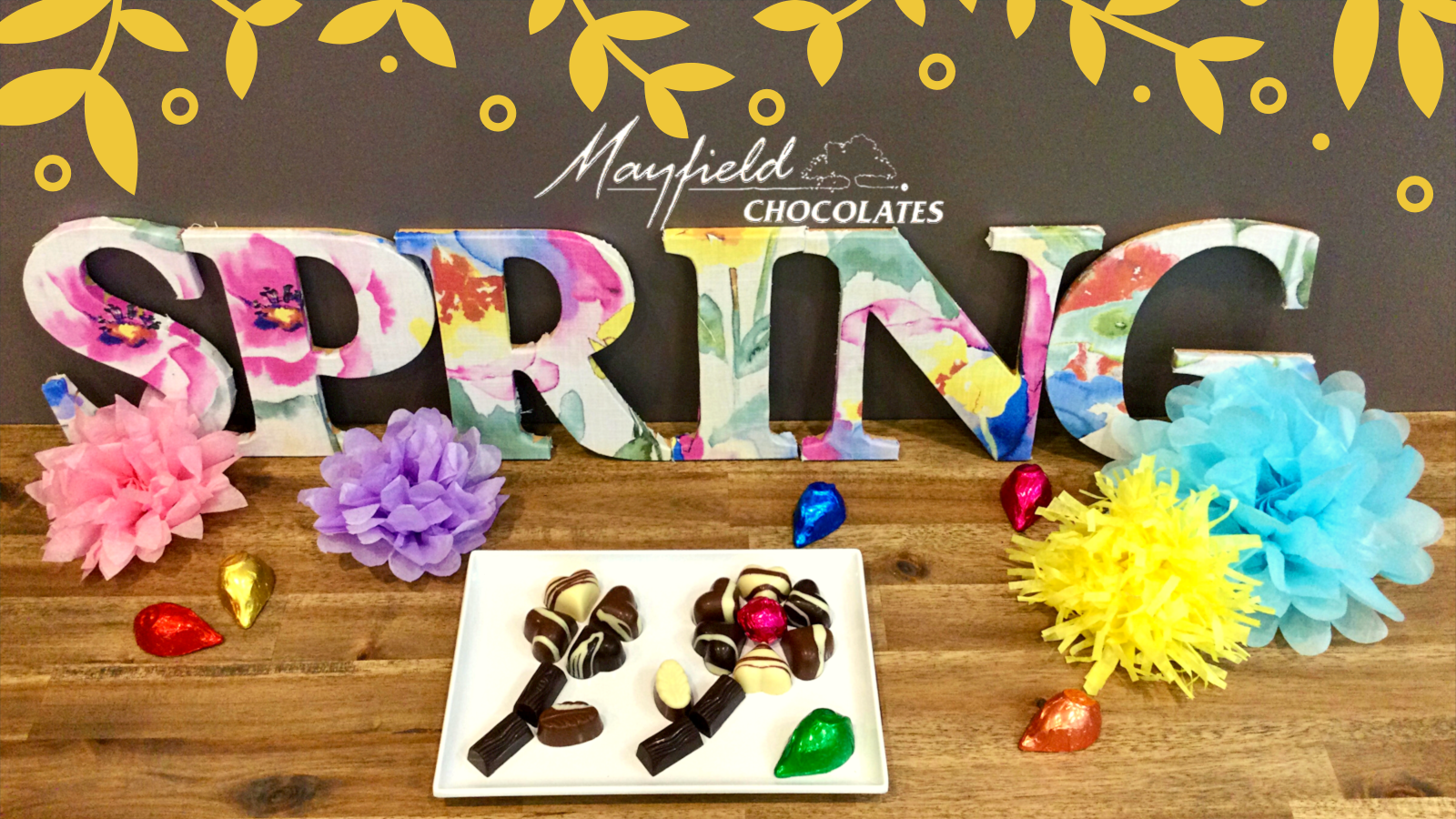 Mayfield Chocolates Australia | Brisbane's Premier Chocolate Destinations