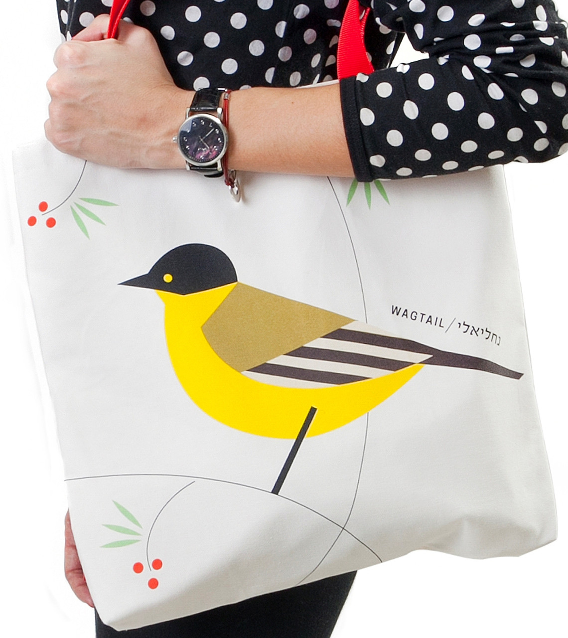 Israeli Bird Design: Jewish Gifts