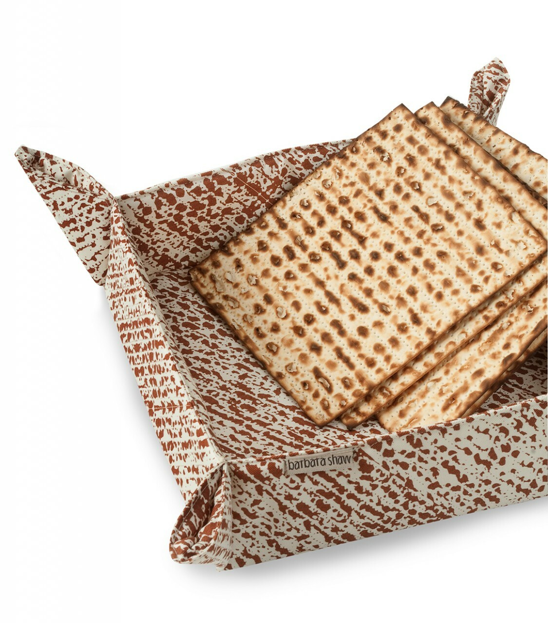 Ancient Amsterdam Haggadah inspired Passover Seder table set
