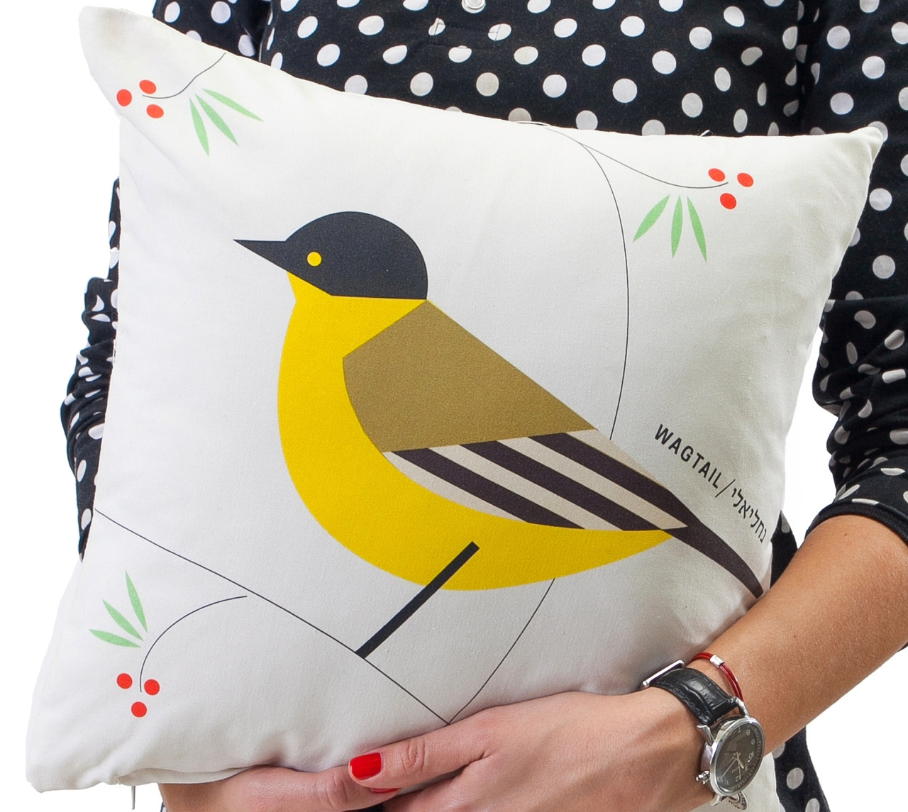Barbara Shaw cushions