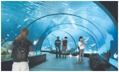 Jerusalem Summer Fun Activities with Kids - Barbara Shaw Gifts