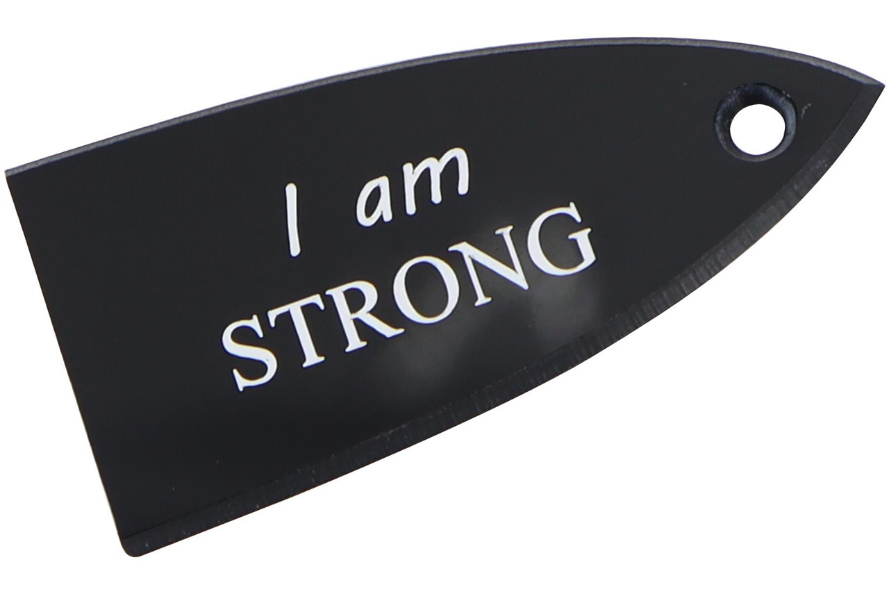 Blank Truss Rod Cover fits Kramer SM-1 Guitars - Philadelphia Luthier ...