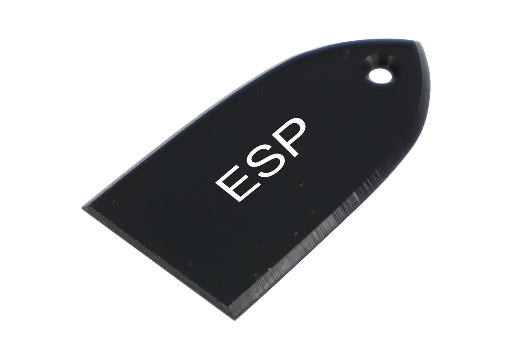 Custom engraved Truss Rod Cover for ESP E-II guitars - Philadelphia ...