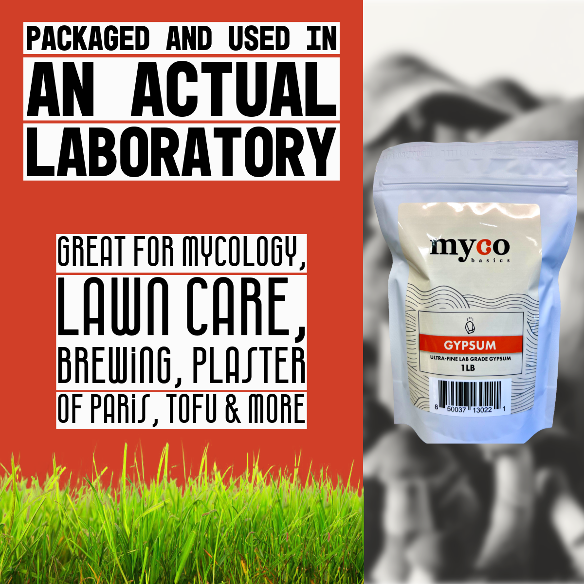 Mycology Basics - Solution/Lab Grade Ultra-Fine Gypsum Powder