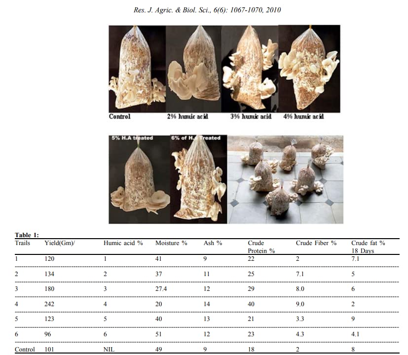 Magical Gypsum with MGP Microbes & Humic Acid