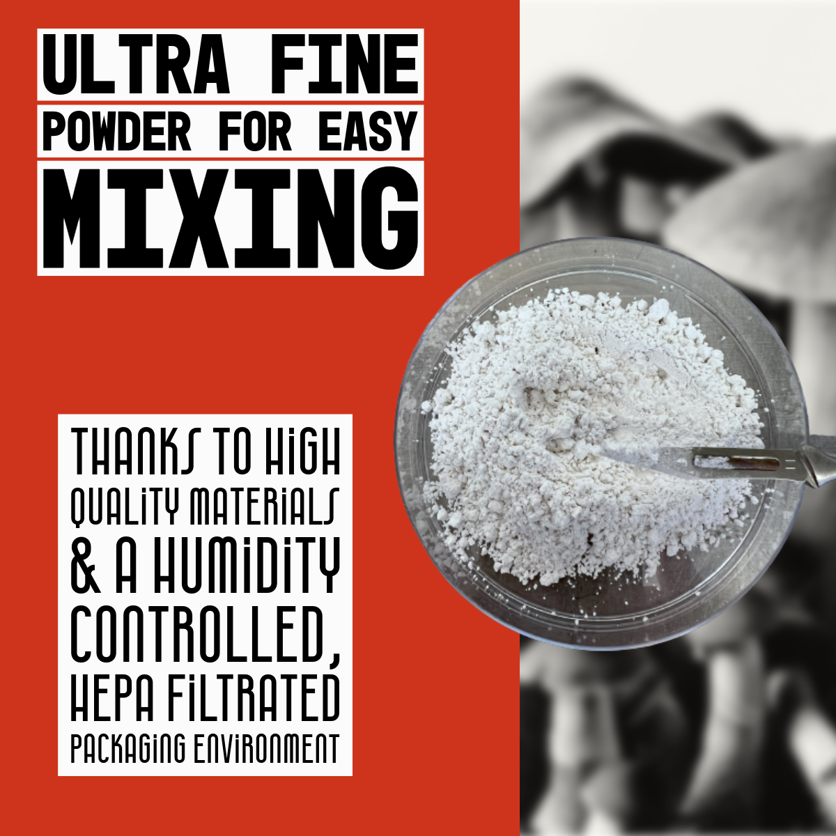 Mycology Basics - Solution/Lab Grade Ultra-Fine Gypsum Powder