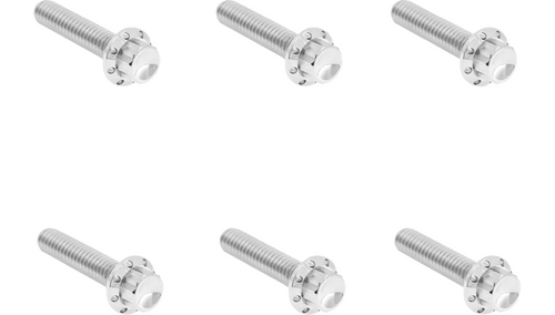 Arlen Ness 12 Point Titanium Transmission Side Cover Bolt Kit | Buy Now